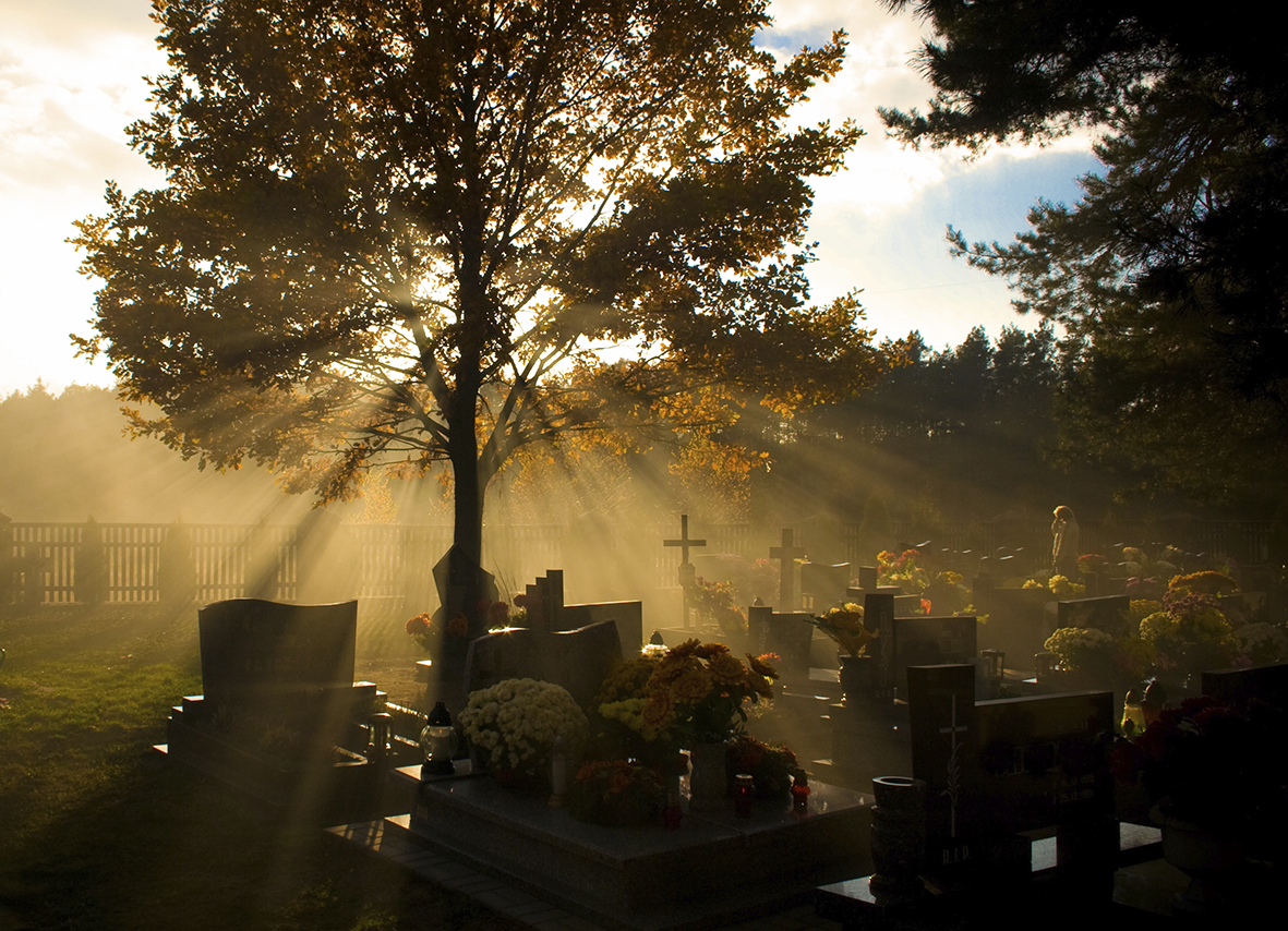 What can you learn from death? | Psychologies