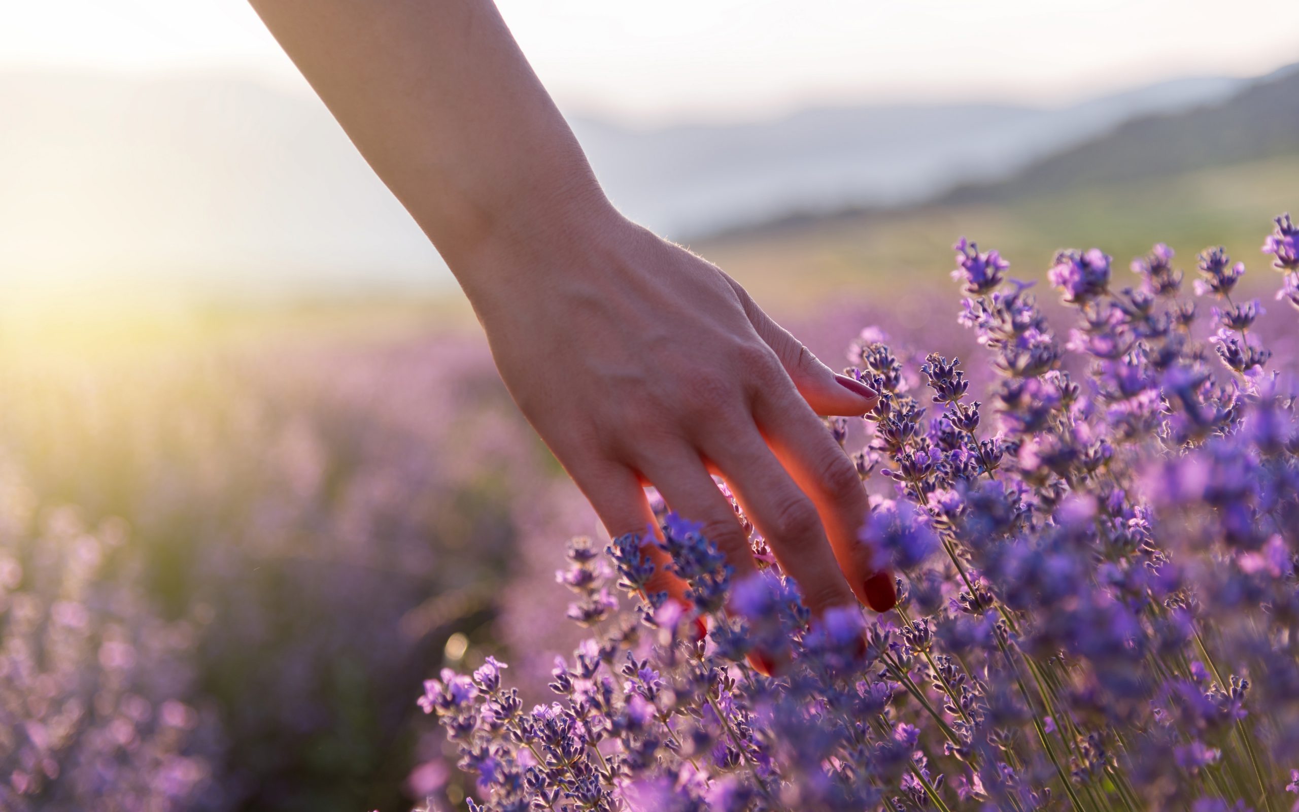 7 steps to healing your emotions with chinese medicine | Psychologies