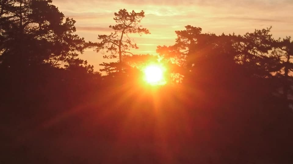 Sun Worship - why we need more sun | Psychologies