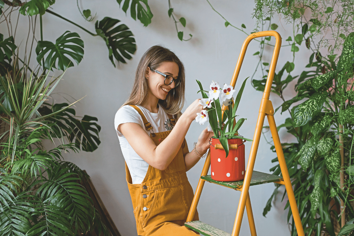 When siblings fall out: coping with sibling estrangement – Psychologies