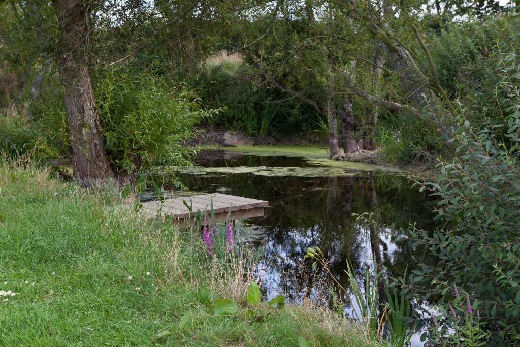 Yoga in Nature – A Retreat for Mind & Body | Psychologies